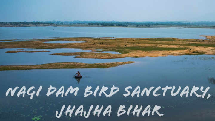 List of Popular Bird Sanctuaries in Bihar – meraapnabihar