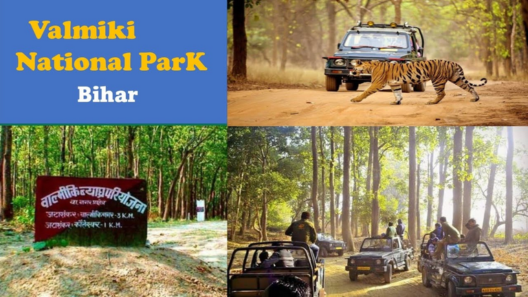 List of Popular Safari in Bihar - meraapnabihar