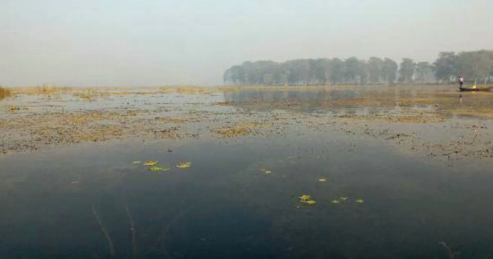 List of Popular National Parks in Bihar - meraapnabihar